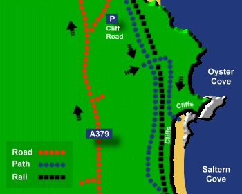 Saltern Cove Beach Information - Devon Beach Guide
