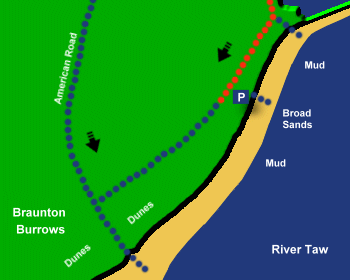 Braunton Burrows Information - Devon Beach Guide
